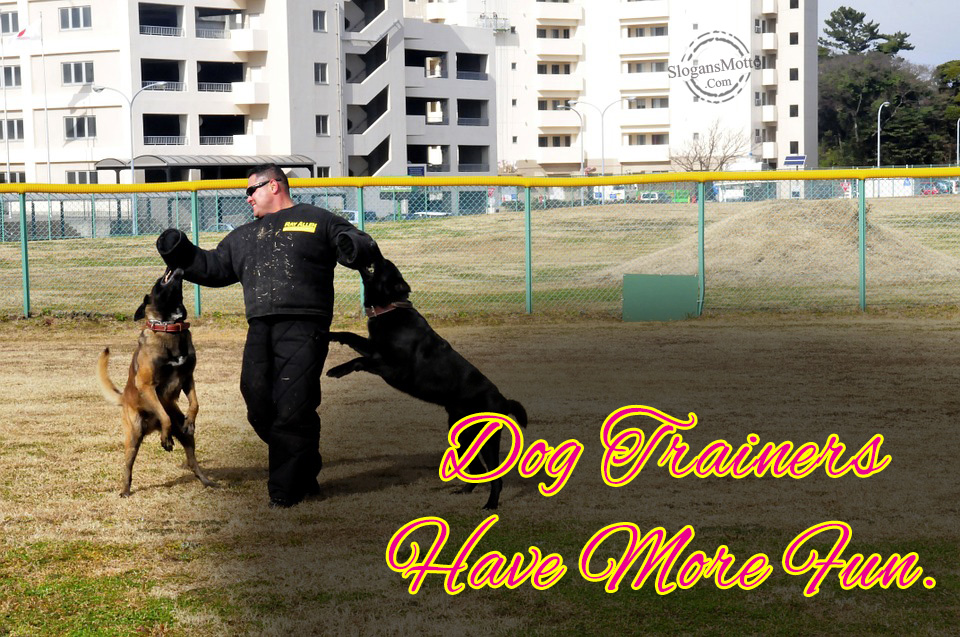 Dog Training Slogans