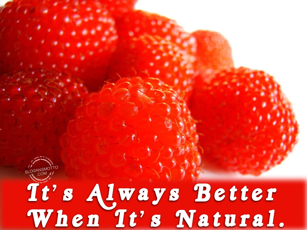 Organic Food Slogans